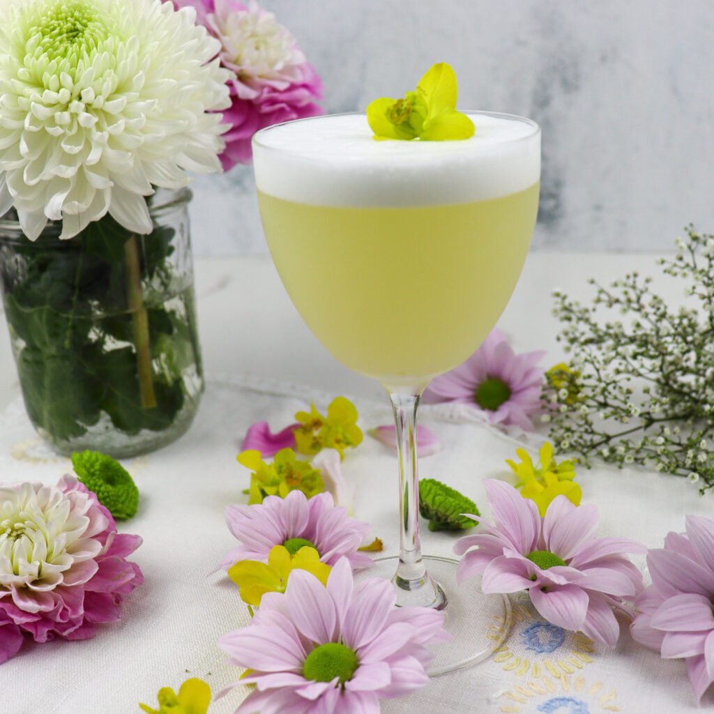 Chamomile Honey Gin Sour - Rhubarb & Lavender